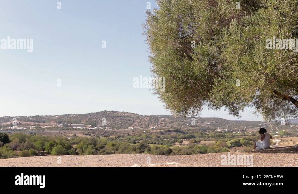 Under an olive tree Stock Videos & Footage - HD and 4K Video Clips - Alamy