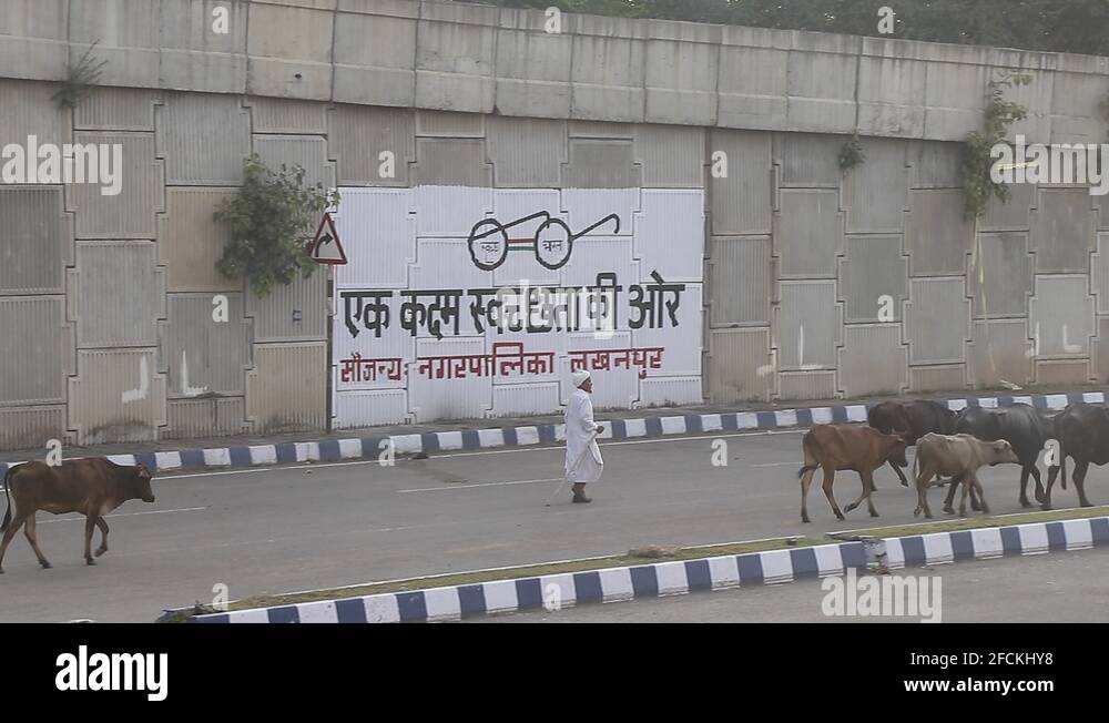 Swachh bharat abhiyan Stock Videos & Footage - HD and 4K Video Clips ...