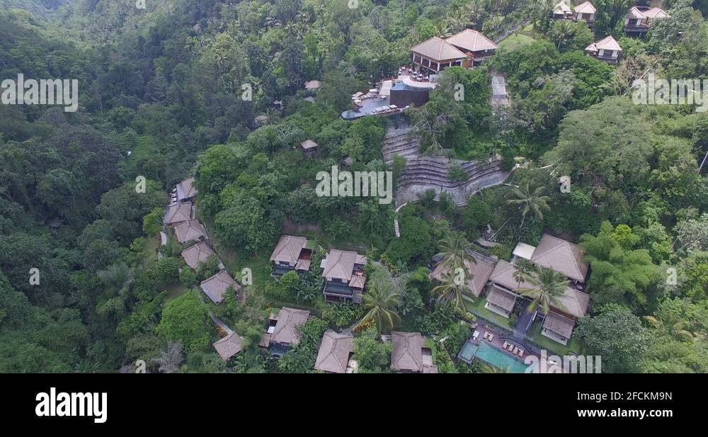 Exclusive Tropical Resort in the Middle of Rainforest in Ubud, Bali ...