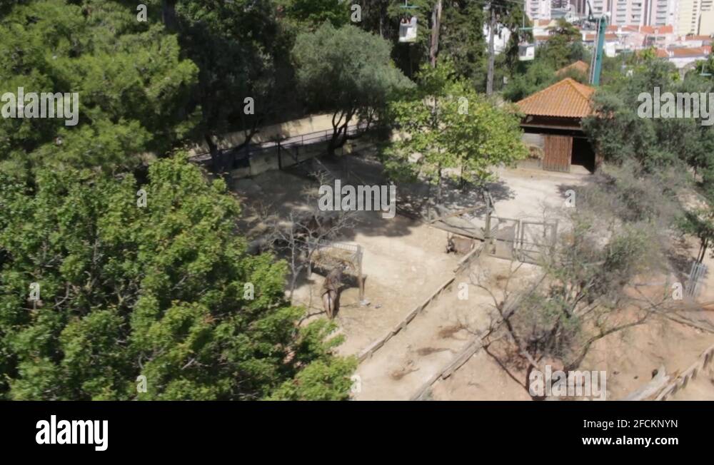 Zoo animal enclosures Stock Videos & Footage - HD and 4K Video Clips ...