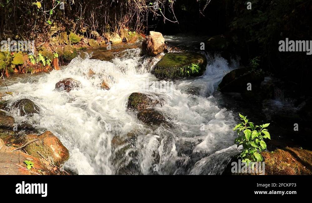 Banias nature reserve israel Stock Videos & Footage - HD and 4K Video ...