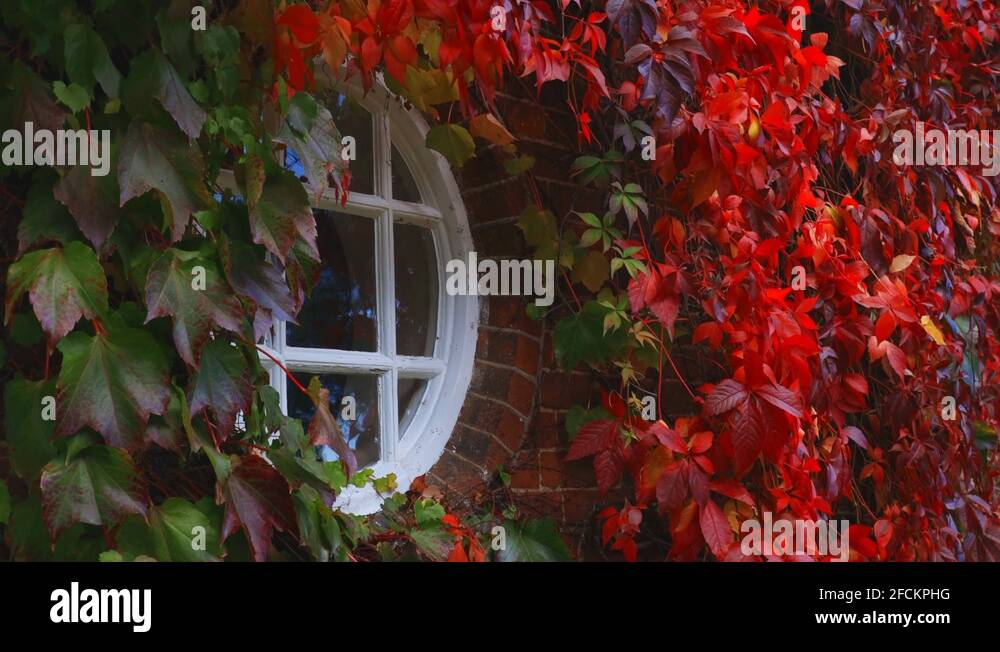 White wood window frame Stock Videos & Footage - HD and 4K Video Clips ...