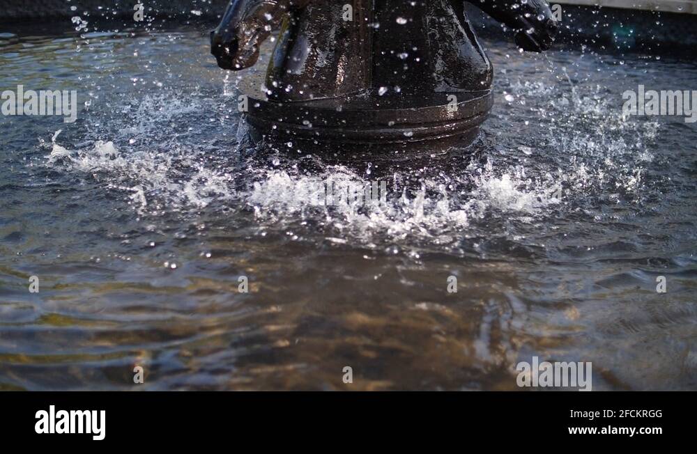 Cast horse Stock Videos & Footage - HD and 4K Video Clips - Alamy