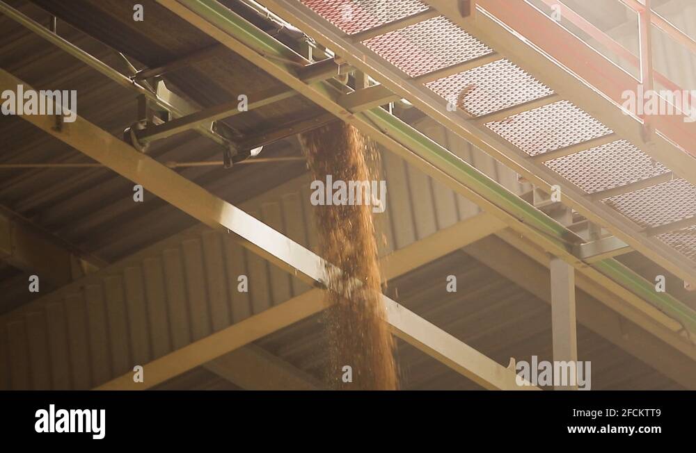 Machines working and conveyor line transporting sand. Conveyor belt on ...