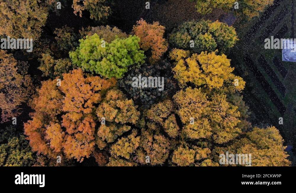 Hedge color colour colors colours Stock Videos & Footage - HD and 4K ...