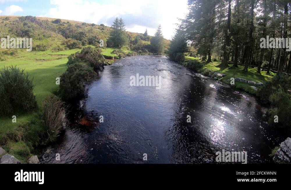 Environment flow outdoor plants park Stock Videos & Footage - HD and 4K ...