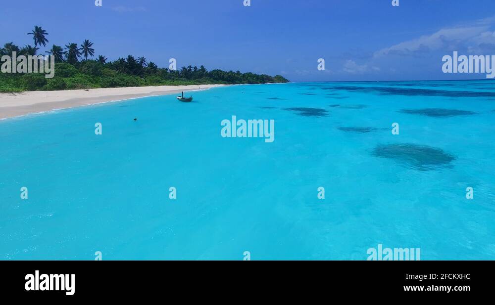 Blue tree lagoon Stock Videos & Footage - HD and 4K Video Clips - Alamy