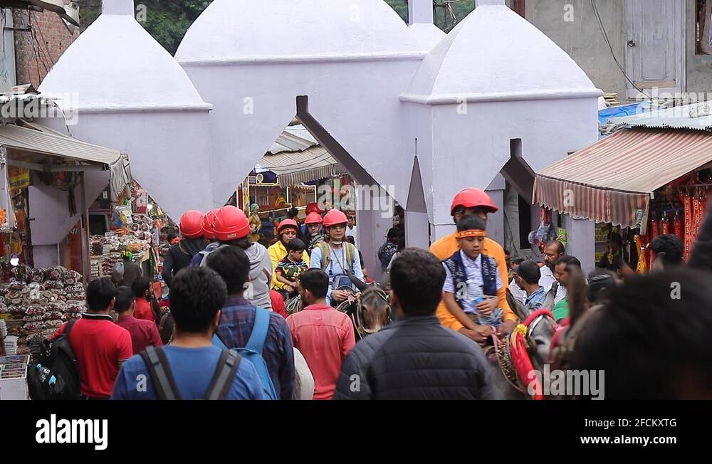 Pilgrims taking horses to reach at the top of Vaishno Devi track Stock ...