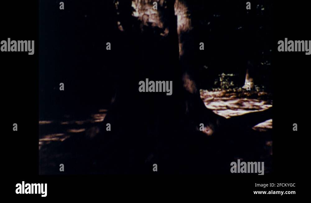 Shade shady tree Stock Videos & Footage - HD and 4K Video Clips - Alamy