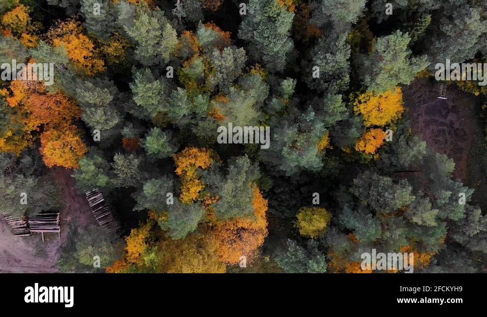 Hidden colours Stock Videos & Footage - HD and 4K Video Clips - Alamy