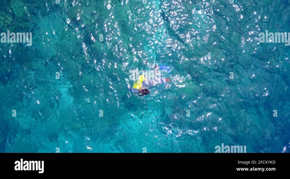 Snorkeling indonesia Stock Videos & Footage - HD and 4K Video Clips - Alamy