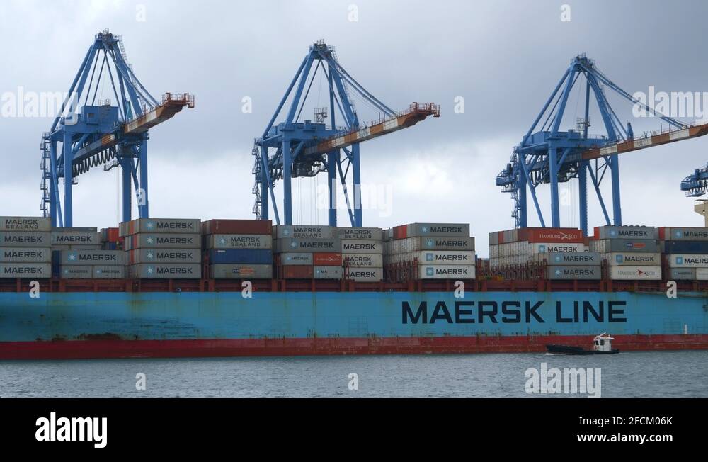 Container crane from gantry cranes Stock Videos & Footage - HD and 4K ...