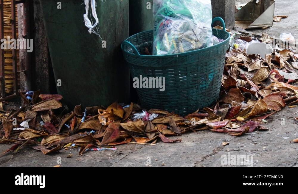 Garbage collection bins Stock Videos & Footage - HD and 4K Video Clips ...