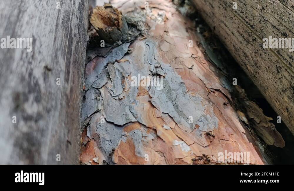 Too much resources Stock Videos & Footage - HD and 4K Video Clips - Alamy