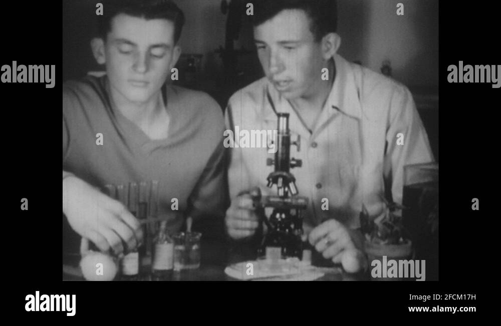 1940s: Lab. Young men put droplet onto slide in microscope. Cells Stock ...