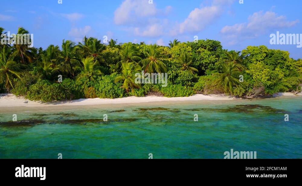 Forest by the beach Stock Videos & Footage - HD and 4K Video Clips - Alamy