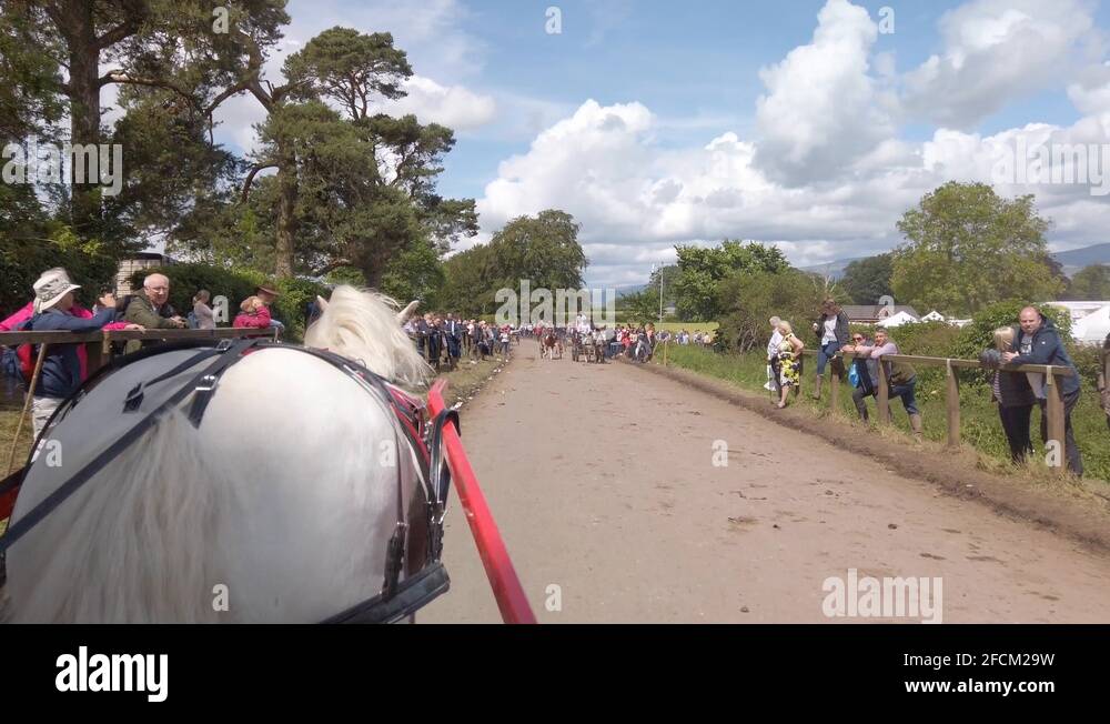 Romany gypsies uk Stock Videos & Footage - HD and 4K Video Clips - Alamy