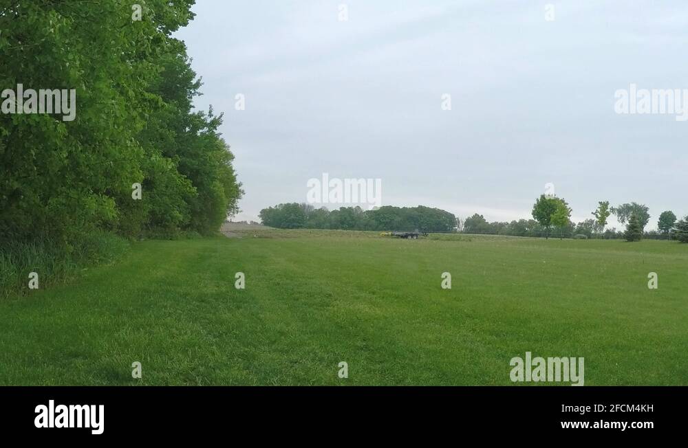 Zooming out view of a green field garden surrounded by trees, cloudy ...