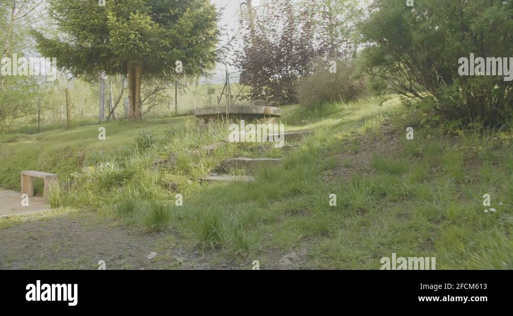 A messy garden Stock Videos & Footage - HD and 4K Video Clips - Alamy