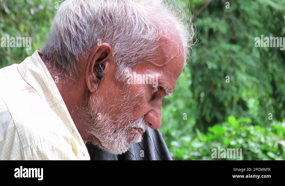 Old man reading Stock Videos & Footage - HD and 4K Video Clips - Alamy