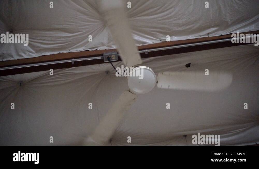 Railfan or rail fan Stock Videos & Footage - HD and 4K Video Clips - Alamy