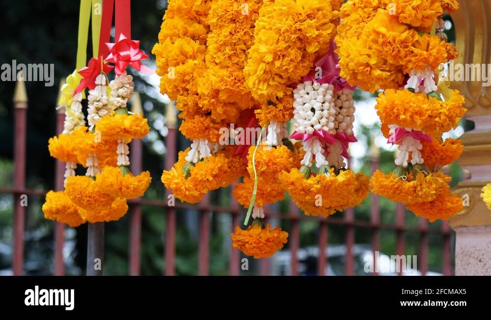 Traditional thai flowers Stock Videos & Footage - HD and 4K Video Clips ...
