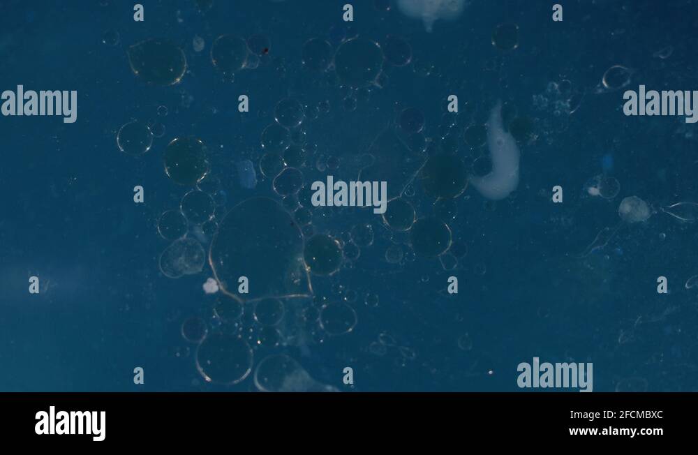 Dark blue liquid Stock Videos & Footage - HD and 4K Video Clips - Alamy