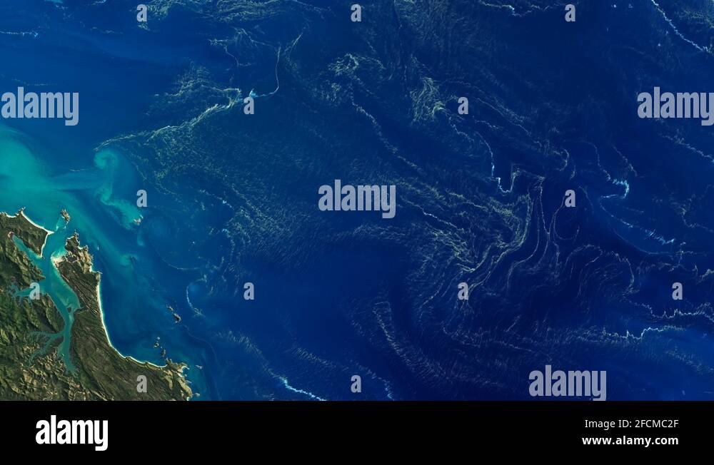 Dense patches Stock Videos & Footage - HD and 4K Video Clips - Alamy