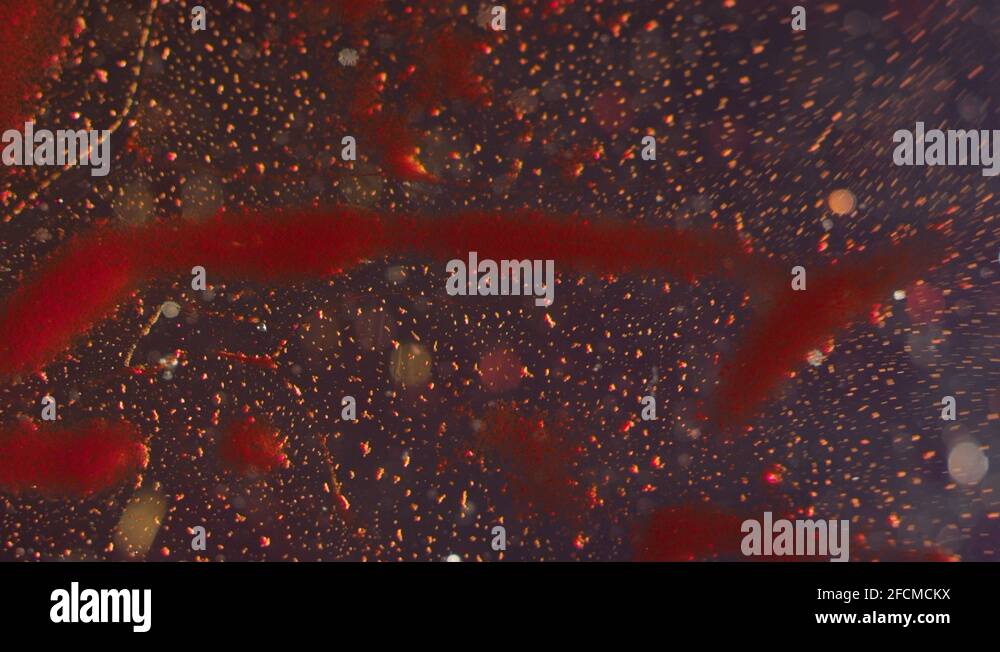 Splash of blood red liquid particles on a clear bokeh texture ...