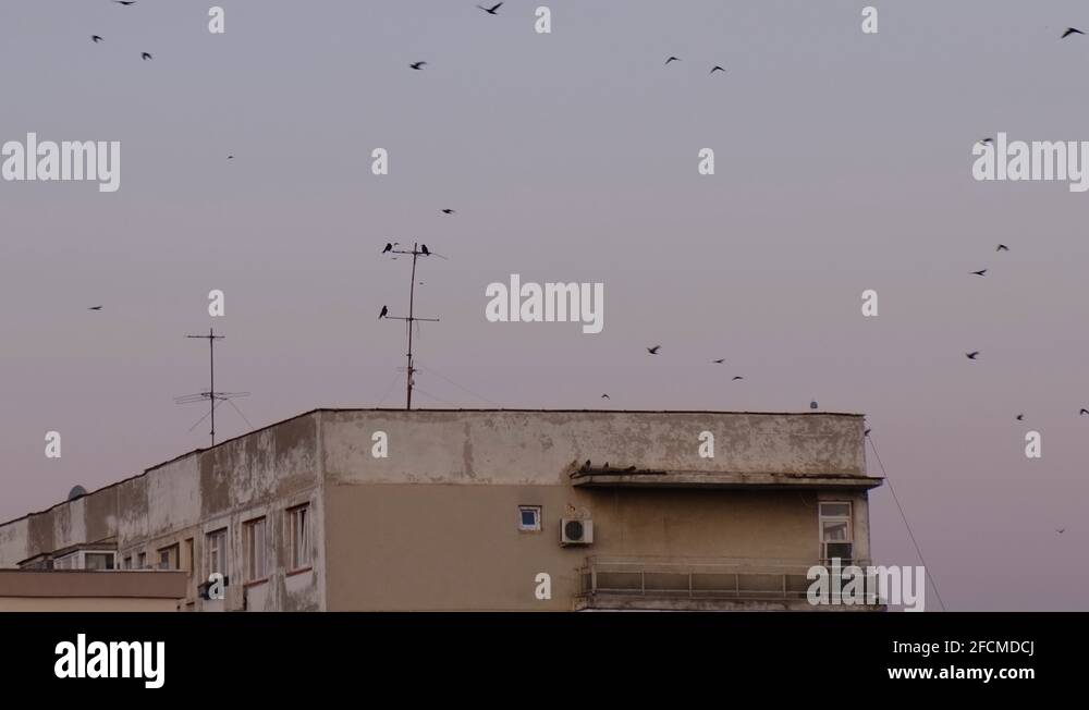 Communist block apartments Stock Videos & Footage - HD and 4K Video ...