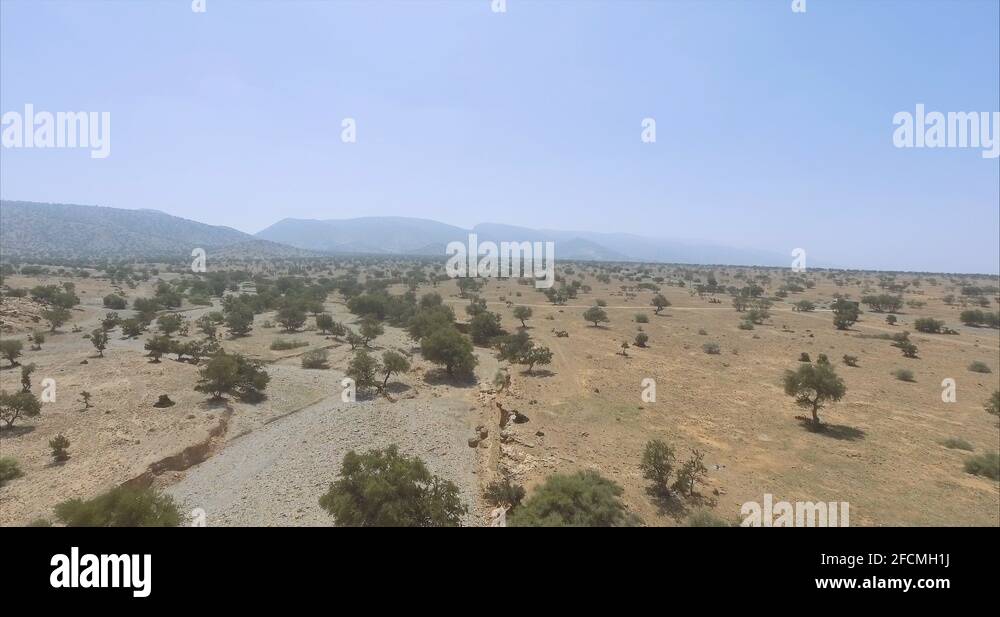Plantation of argan Stock Videos & Footage - HD and 4K Video Clips - Alamy