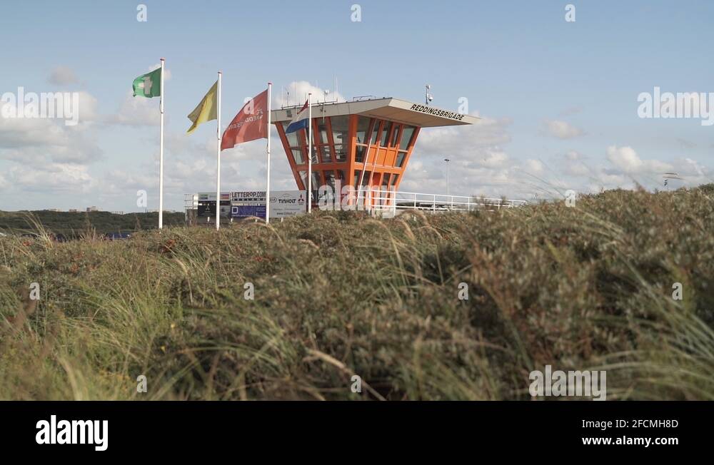 Dutch blue guard Stock Videos & Footage - HD and 4K Video Clips - Alamy