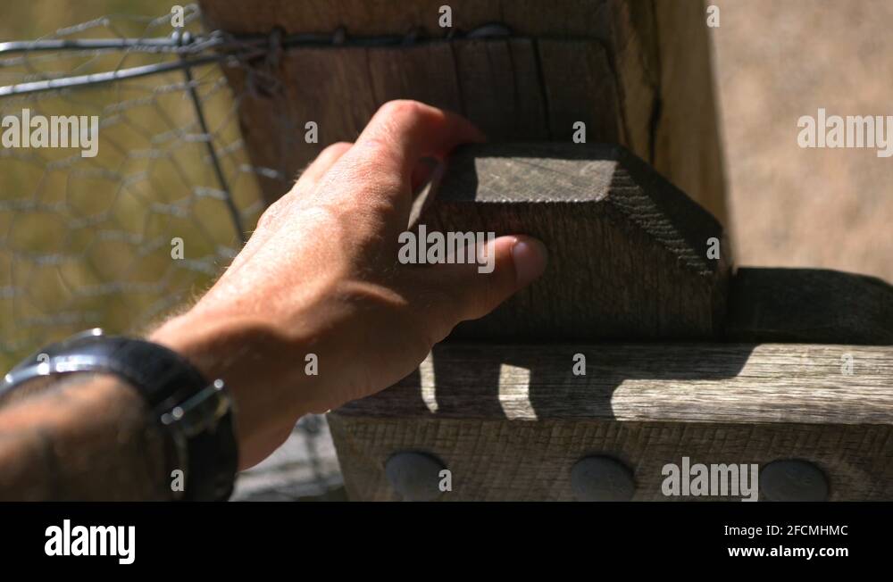 Paddock gates Stock Videos & Footage - HD and 4K Video Clips - Alamy