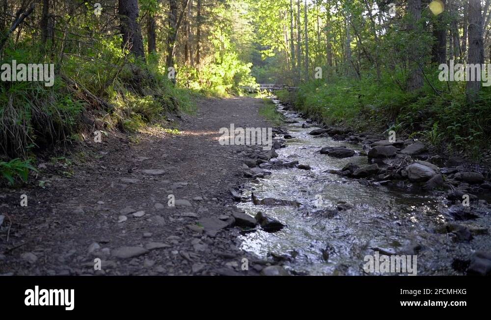 The rivulet trail Stock Videos & Footage - HD and 4K Video Clips - Alamy