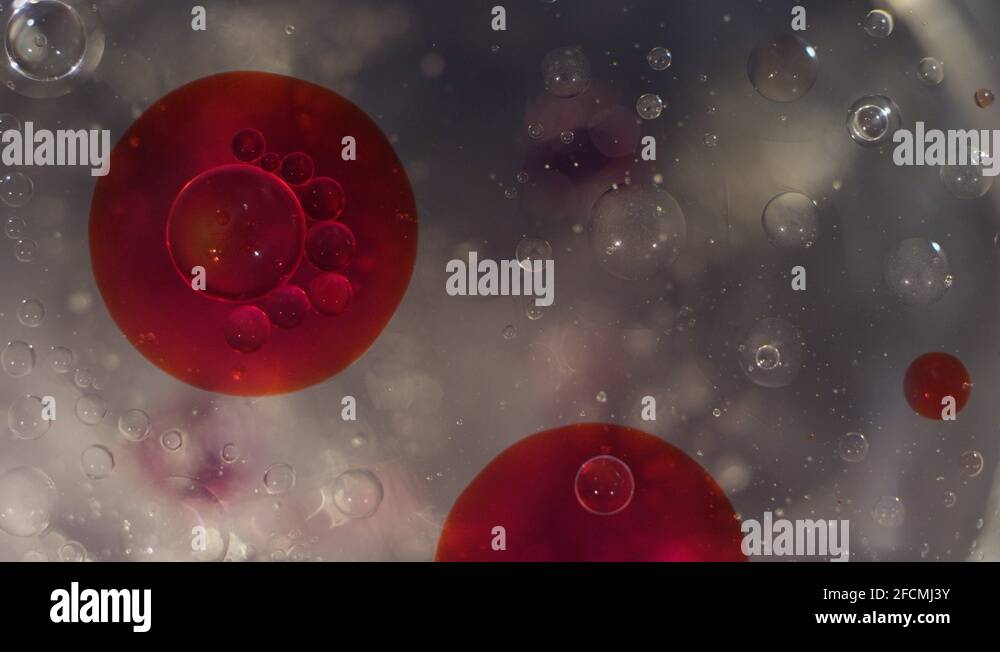 Red cells texture Stock Videos & Footage - HD and 4K Video Clips - Alamy