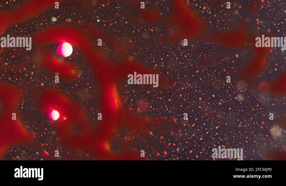 Blood red splash liquid particles bokeh texture background Stock Video ...