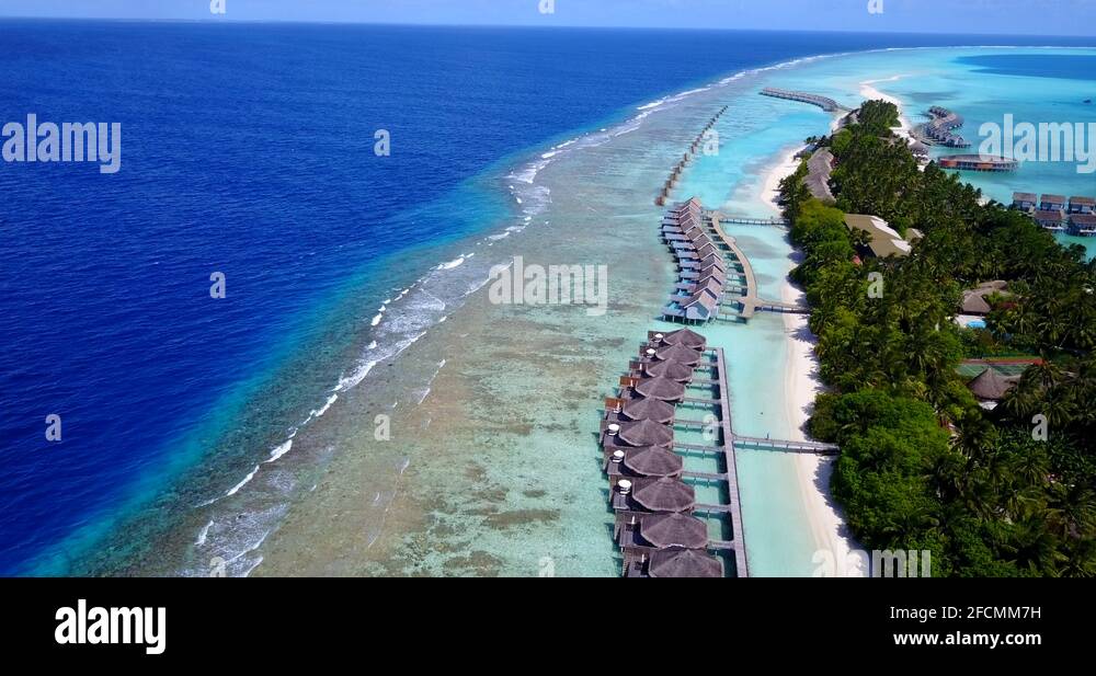 Long island birds Stock Videos & Footage - HD and 4K Video Clips - Alamy