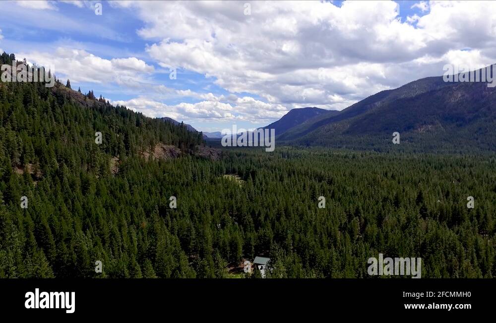 Mazama forest Stock Videos & Footage - HD and 4K Video Clips - Alamy