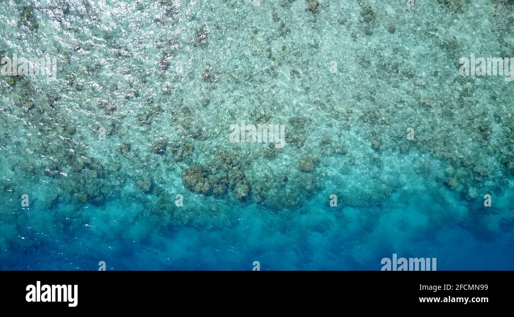 Ocean underwater drop off Stock Videos & Footage - HD and 4K Video ...