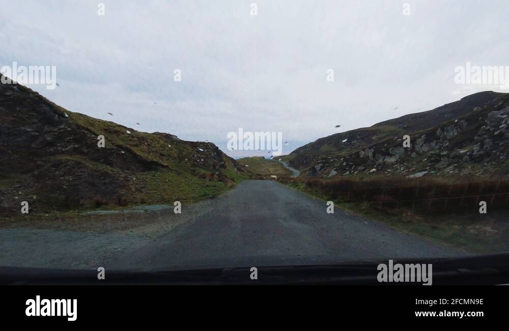 Sheep car Stock Videos & Footage - HD and 4K Video Clips - Alamy