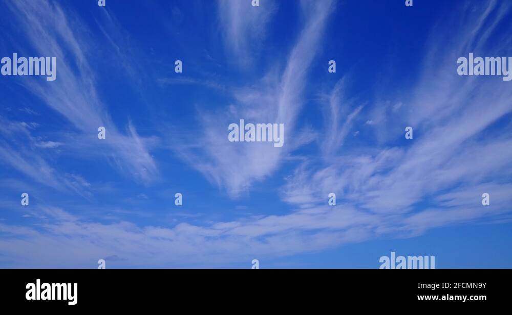 White ash Stock Videos & Footage - HD and 4K Video Clips - Alamy