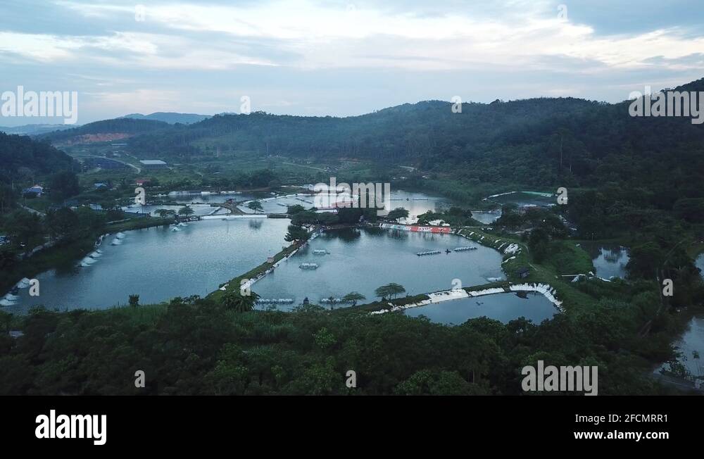 Aquaculture shrimp pond Stock Videos & Footage - HD and 4K Video Clips ...