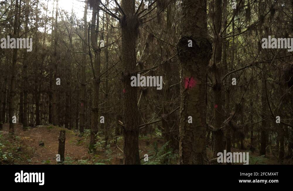 Marked work Stock Videos & Footage - HD and 4K Video Clips - Alamy