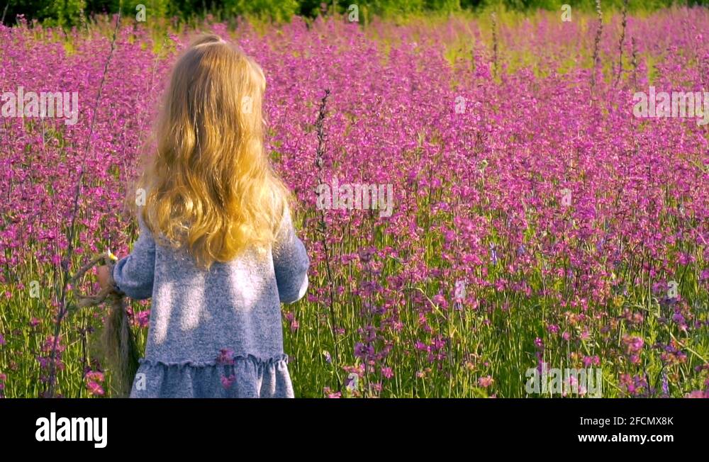 Girl walking in field flowers Stock Videos & Footage - HD and 4K Video ...