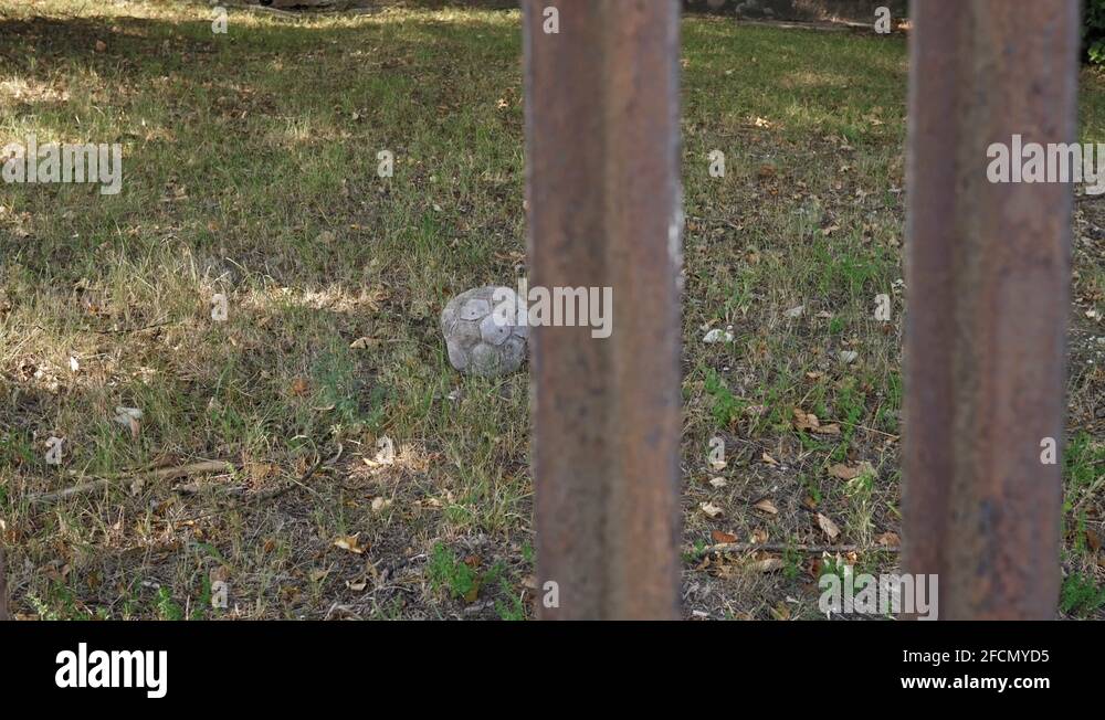 Destroyed football, lies alone on the grass. View through an old rusty ...