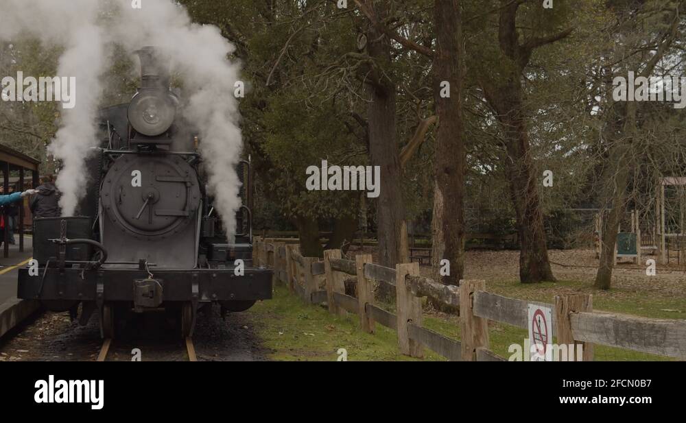 Historic 'Puffing Billy' steam train releasing steam at Gembrook ...