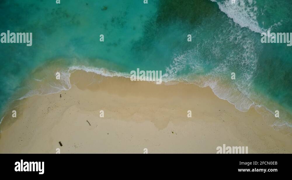 Tan beach Stock Videos & Footage - HD and 4K Video Clips - Alamy