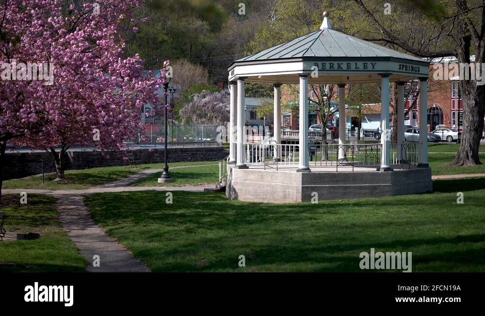 Berkeley square trees Stock Videos & Footage - HD and 4K Video Clips ...