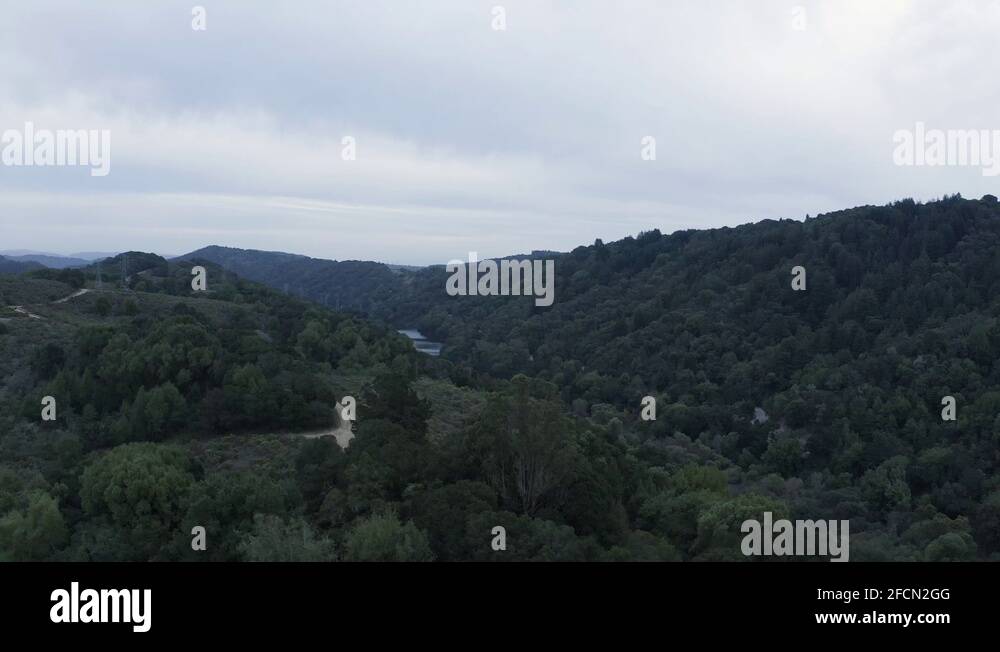 Long trees Stock Videos & Footage - HD and 4K Video Clips - Alamy