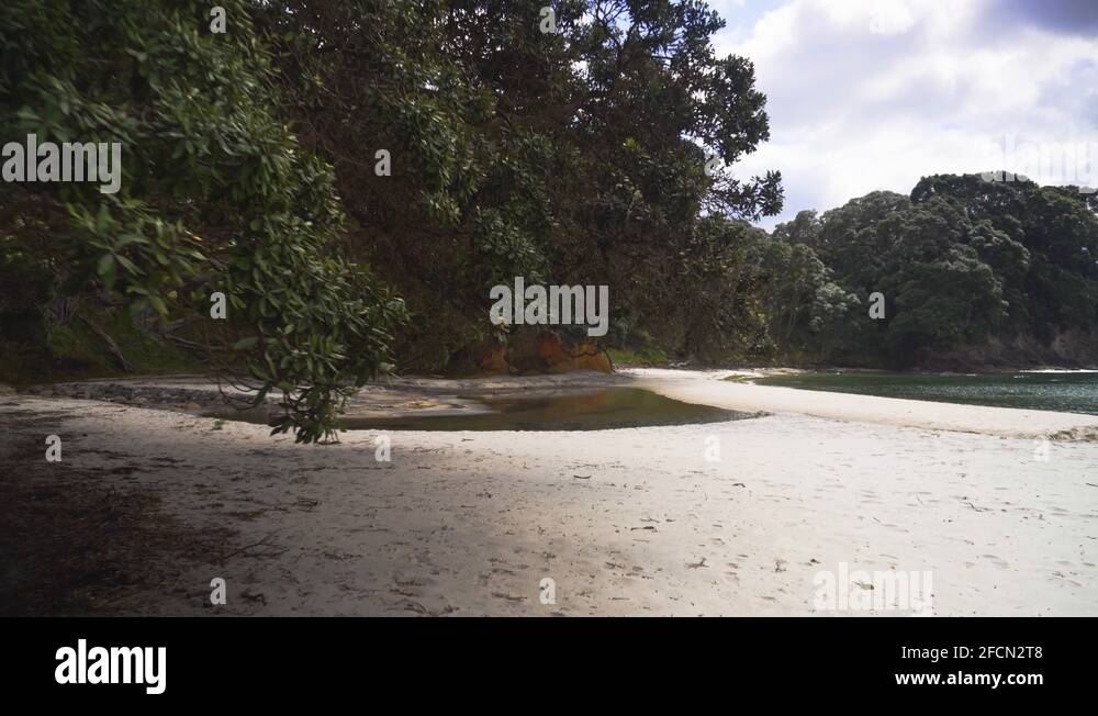 Suriname guyana Stock Videos & Footage - HD and 4K Video Clips - Alamy